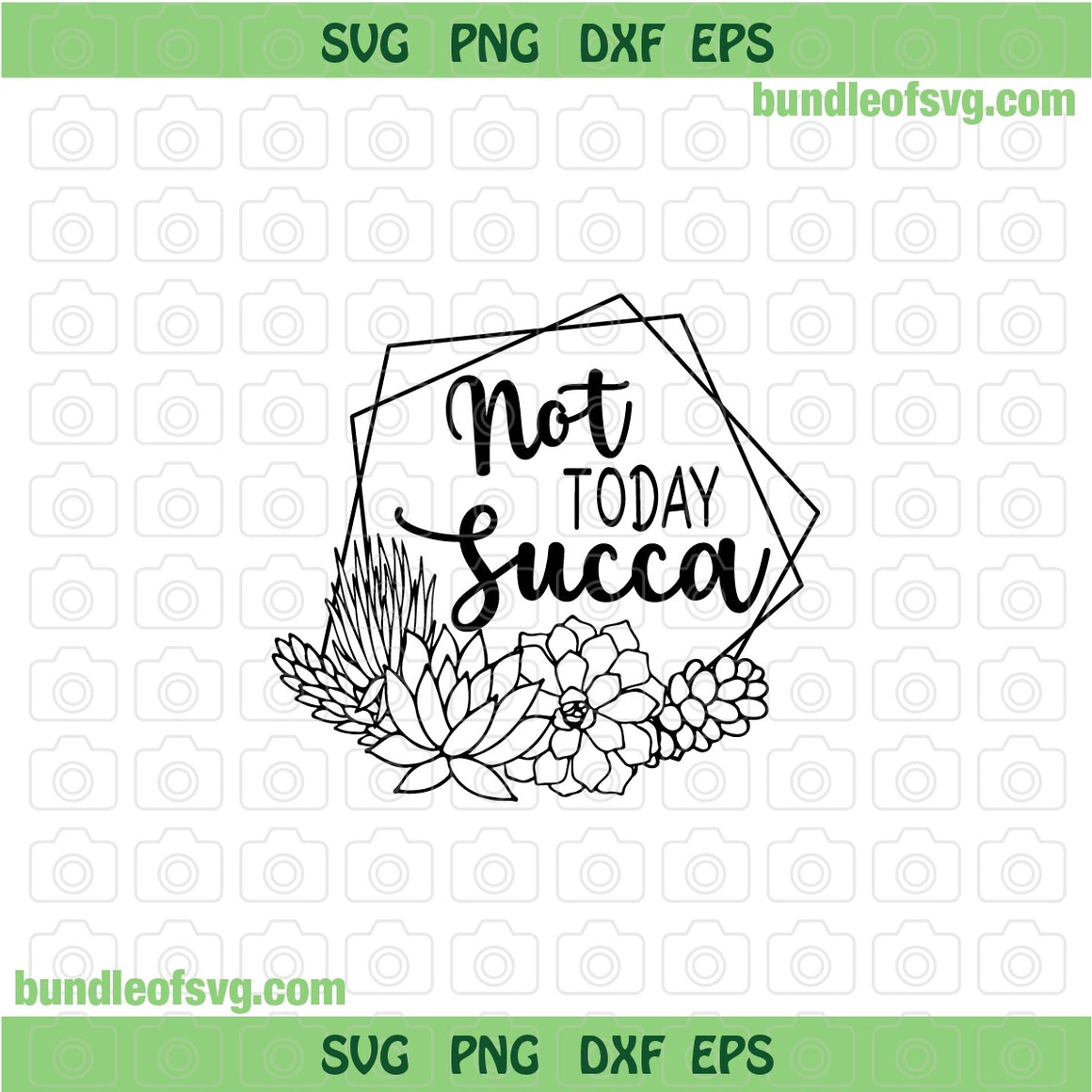 Nope Not Today Succa svg Funny Succulent svg Cactus Lover svg